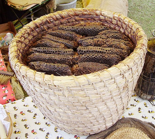 What does a beekeeper actually do in winter? – Barefoot Bees