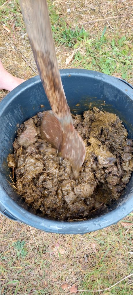 Restoring Old Skeps For Beekeeping With Poop – Barefoot Bees