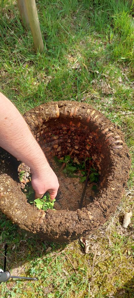 Barefoot Bees – Honey-Sweet Bee Curiosities